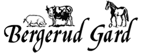 Hjem | Bergerud gård